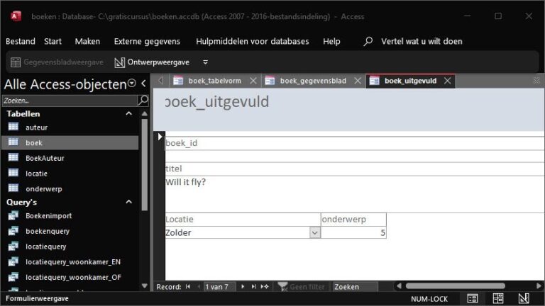 MS-Access Formulieren maken/gebruiken (8/10) - Handleiding.be