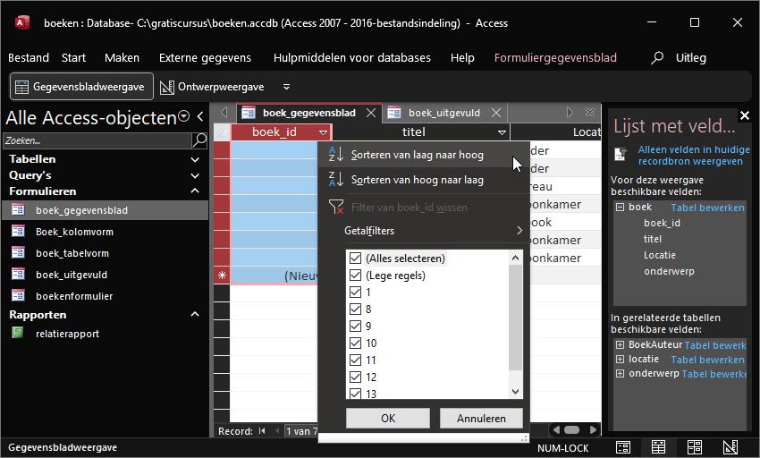 MS-Access Formulieren maken/gebruiken (8/10) - Handleiding.be