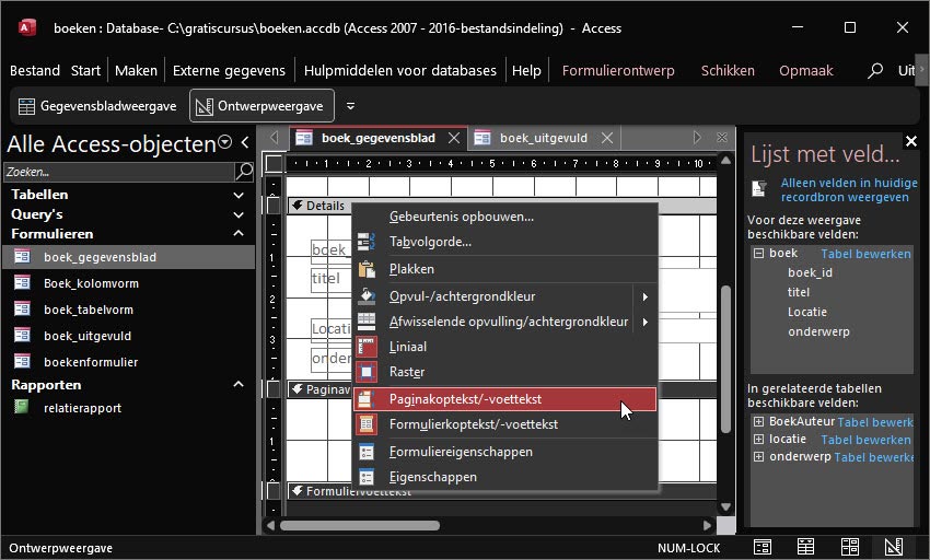 MS-Access Formulieren maken/gebruiken (8/10) - Handleiding.be